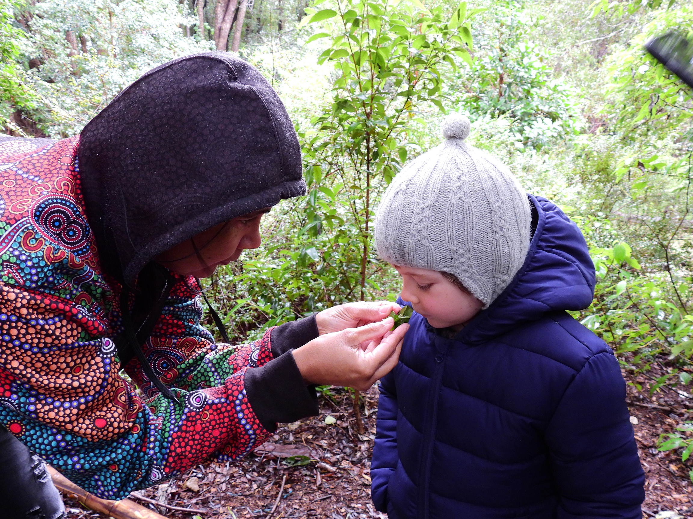Bush Tucker Walk – Byron Bay Eco Tours